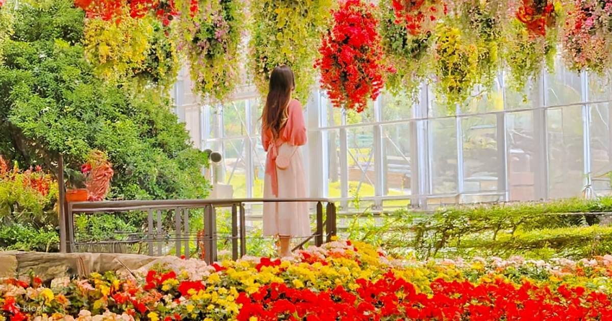 Eden Cherry Blossom Road x AQUAFIELD Jjimjilbang x Begonia Bird Park - Klook Singapore